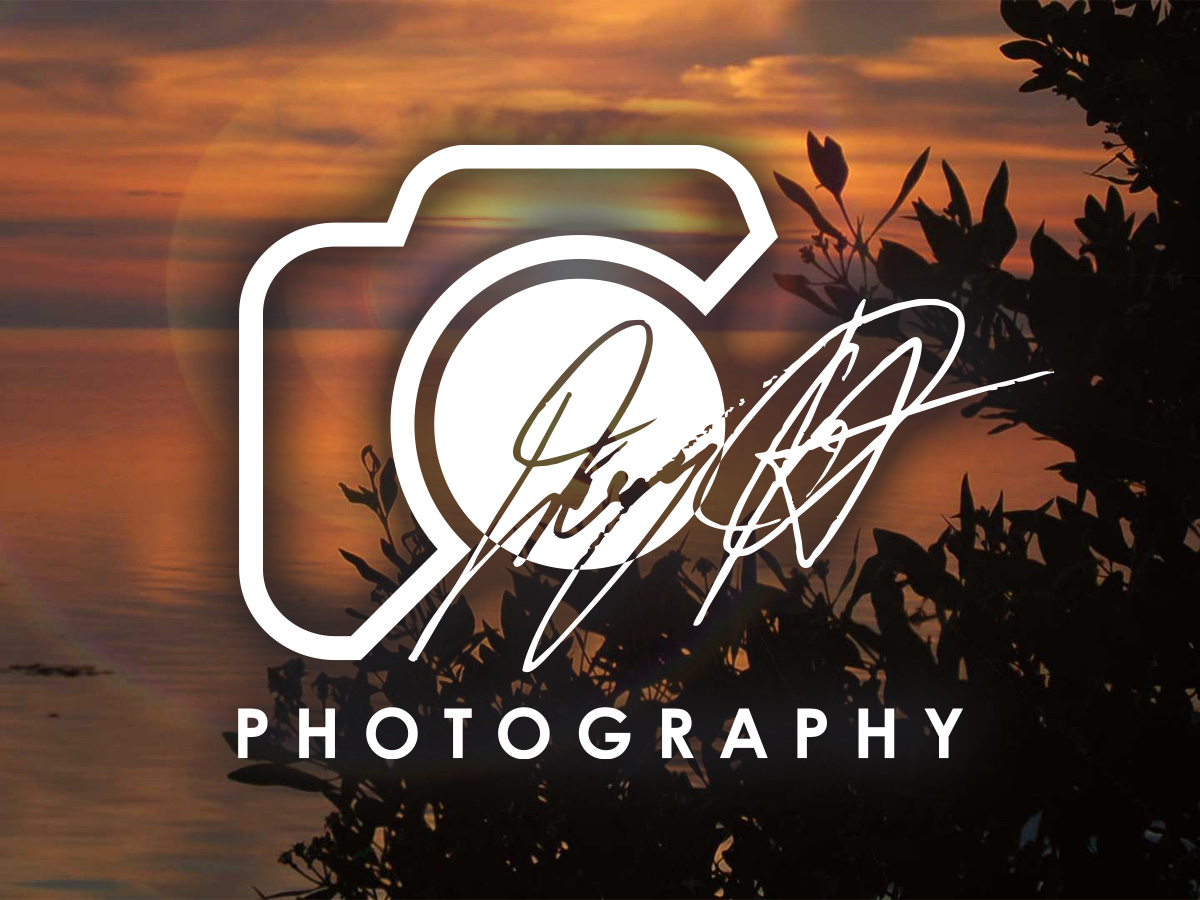 Capture What Your Brand Stands For: The Power of Professional Business ...
